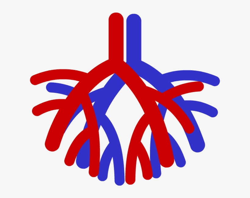 Circulatory System Icon Transparent PNG - 880x880 - Free Download on ...