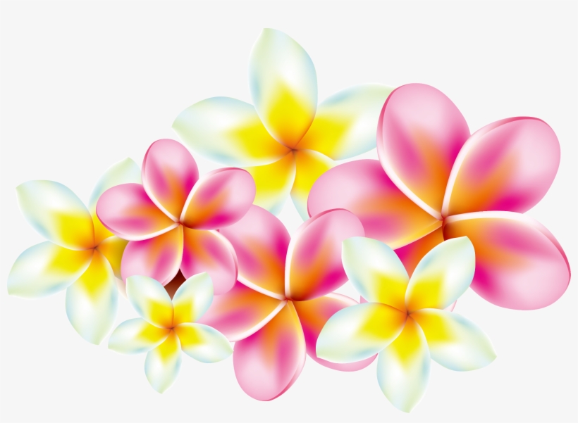 Plumeria Border Clip Art