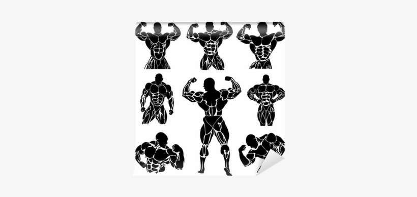 Bodybuilding, Powerlifting, Vector, Set Wall Mural - Gym Logo Vector ...