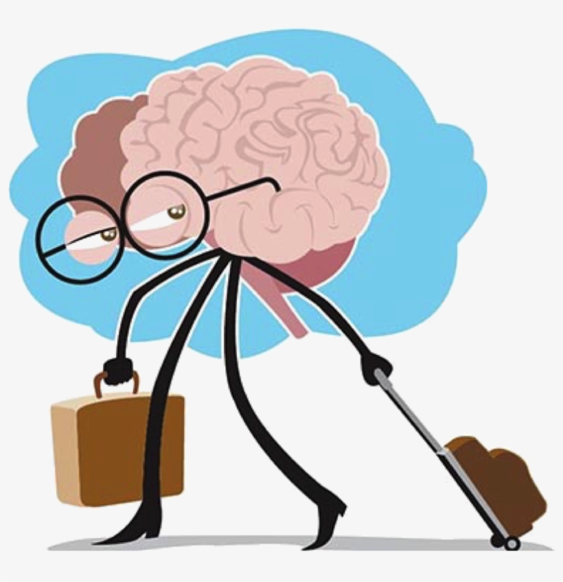 Increase In Migration - Brain Drain Transparent PNG - 1042x767 - Free ...