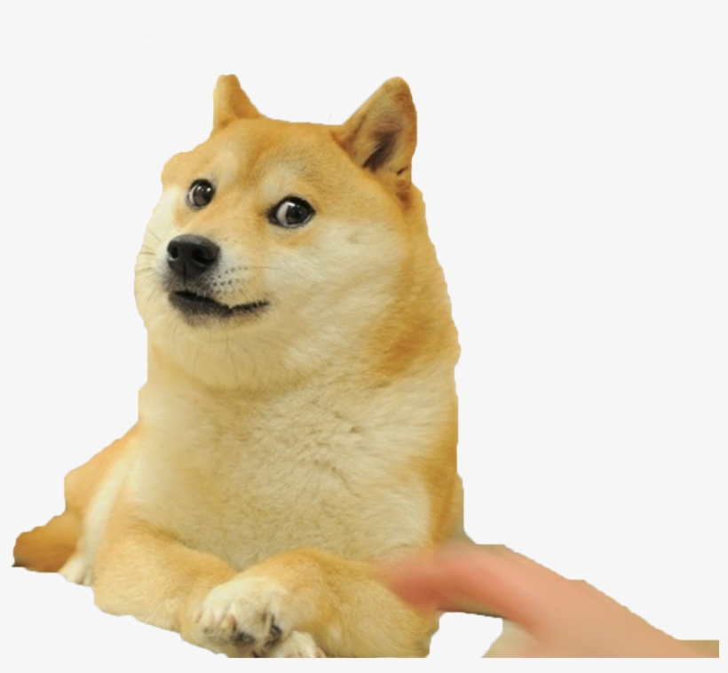 I Edited The House Out Of Everyone's Favourite Doge - Wow Such Doge ...