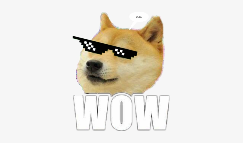 World Of Warcraft Doge