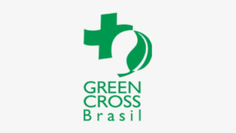Un Fao Gcint - Green Cross International Logo Transparent PNG - 800x534 ...