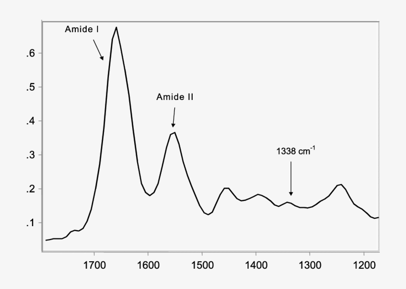 Ftir Collagen Spectrum - Science Transparent PNG - 714x504 - Free ...