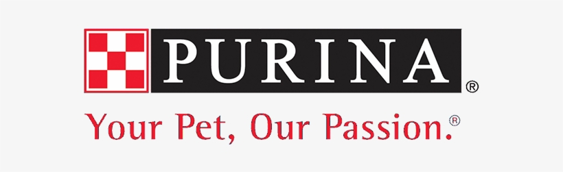 Purina Logo - Purina Dog Food Logo Transparent PNG - 600x200 - Free ...
