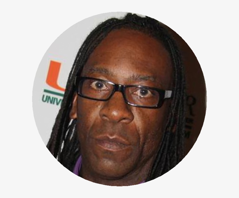 Bookert - Dreadlocks Transparent PNG - 600x600 - Free Download on NicePNG