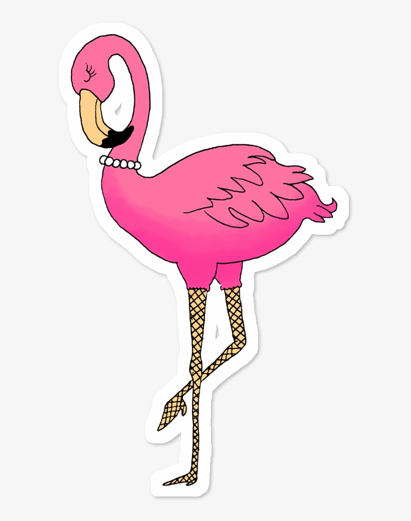 Png Flamingo Sticker Transparent PNG - 962x962 - Free Download on NicePNG