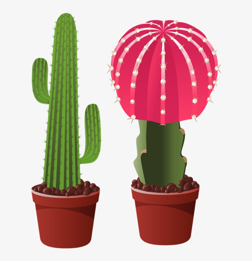 Cactus Flower Clip Art