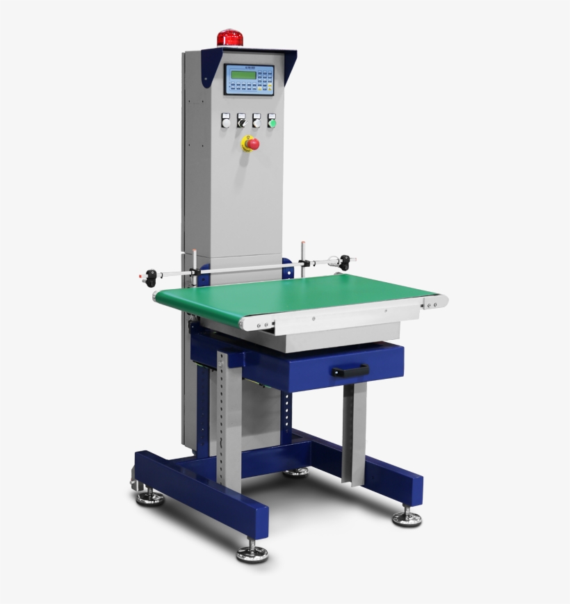"dlw" Series Automated Weighing For /- Weight Checking - Weighing Scale ...