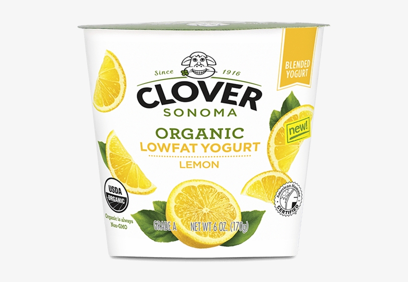 Organic Lemon - Clover Organic Farms Half & Half - 16 Oz Carton ...
