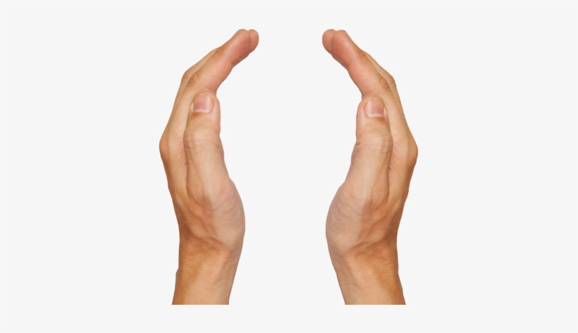 Look After Your Harvest - Hands Protection Transparent PNG - 369x392 ...