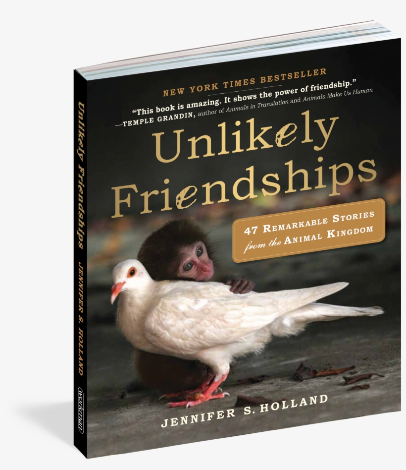 Cover - Unlikely Friendships Book Transparent PNG - 2202x2400 - Free ...