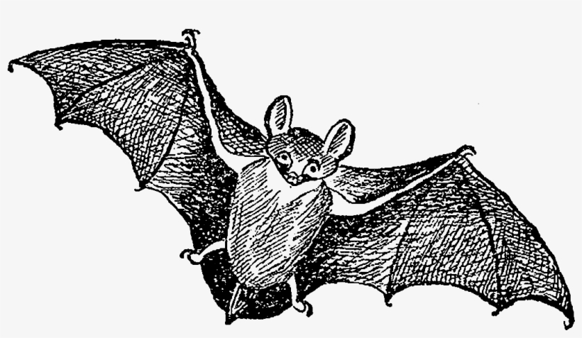 Digital Stamp Design Vintage Halloween Digital Clip - Digital Stamp ...