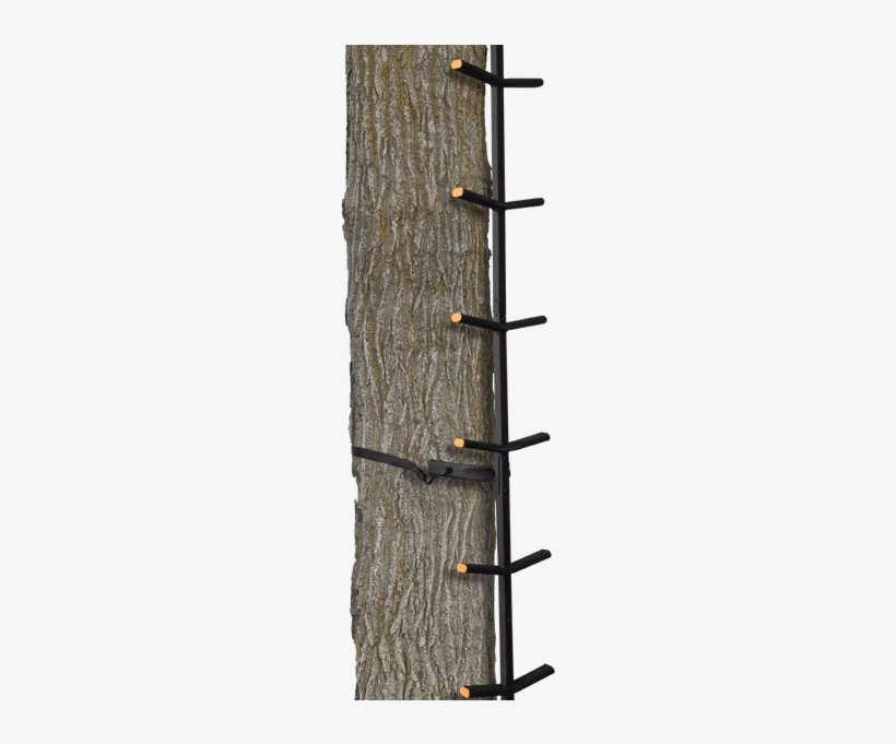 The Ascender - Ladder Stand Climbing Stick Transparent PNG - 600x600 - Free Download on NicePNG