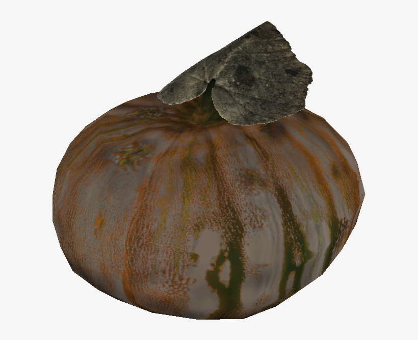 Gourd - Gourd Fallout 4 Transparent PNG - 747x655 - Free Download on ...