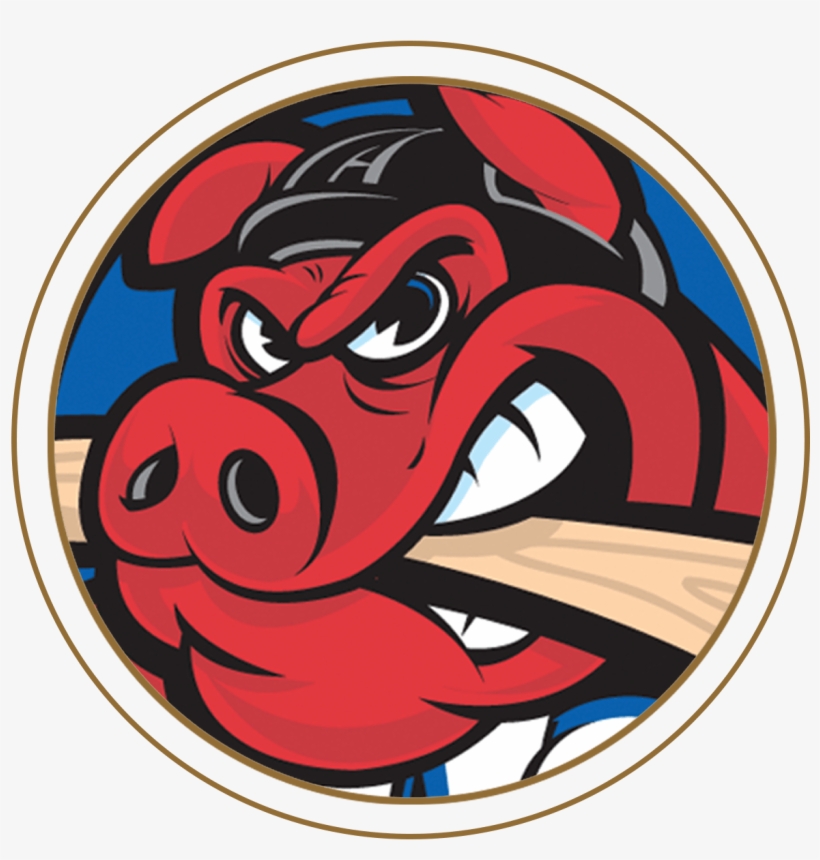 Download - Rockford Icehogs Logo Transparent PNG - 1500x1500 - Free ...
