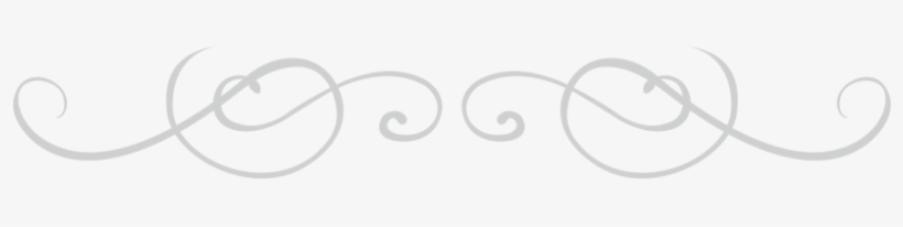 White Ornament Png Transparent PNG - 1024x410 - Free Download on NicePNG