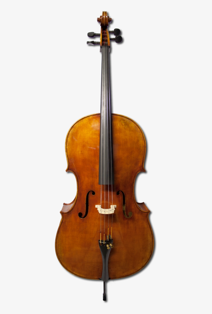 Draw A Double Bass Transparent PNG - 800x1158 - Free Download on NicePNG