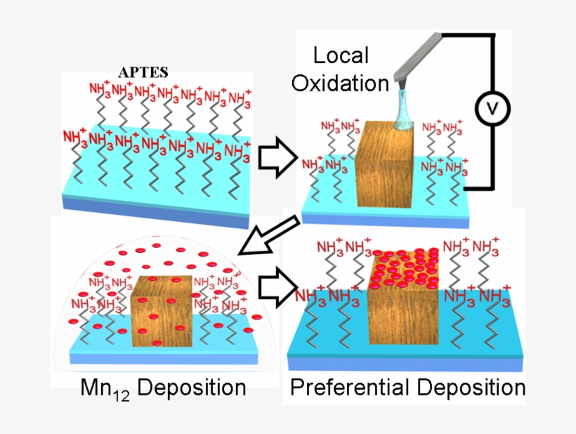 Mn12 Deposition Procedure - Deposition Transparent PNG - 735x600 - Free ...