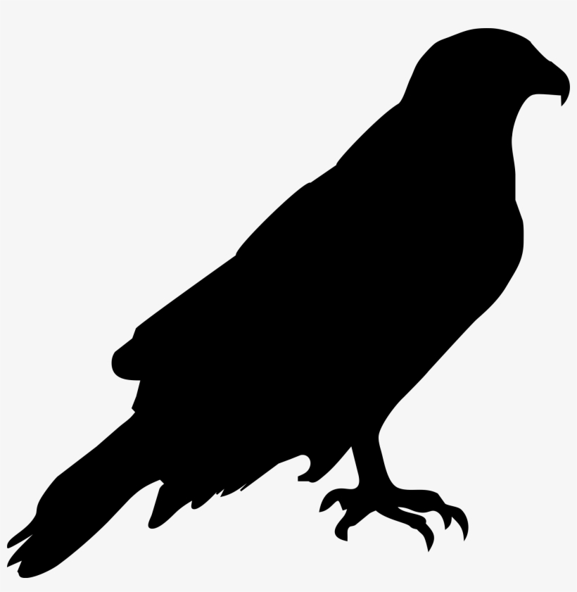 Hawk Outline For Windows