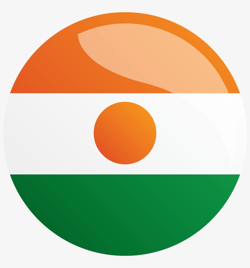 Niger Logo