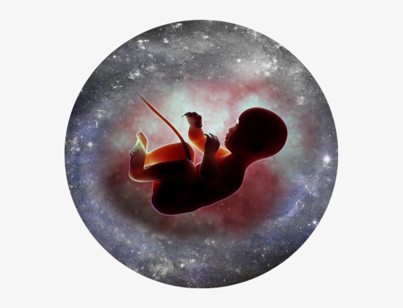 Scspace Space Baby Fetus Embryo Womb Mother Child Galax - Diabetes In ...