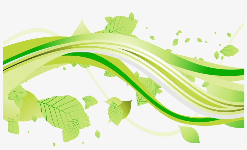 Big Image - Green Flourish Transparent PNG - 2400x1352 - Free Download ...