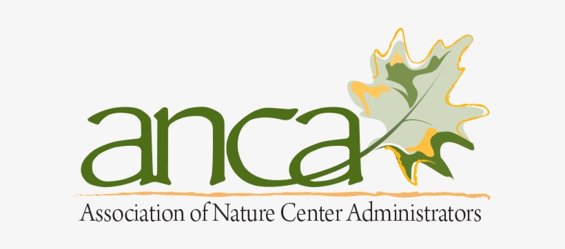 Anca Transparent PNG - 605x282 - Free Download on NicePNG
