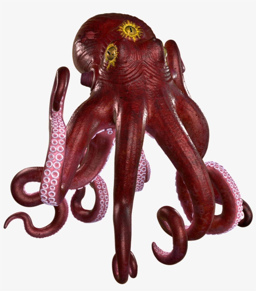 Octopus Png Transparent PNG - 1000x1041 - Free Download on NicePNG