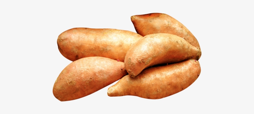 Download Yams Png Image - Yams Png Transparent PNG - 500x310 - Free ...