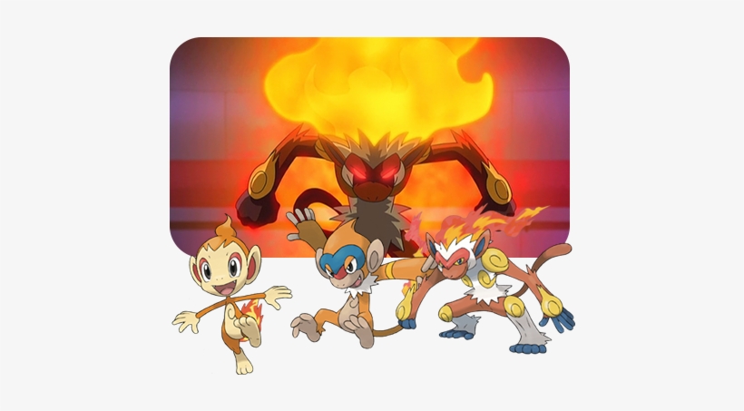 Pokemon Of The Week - Chimchar Pokemon Go Evolution Transparent PNG ...