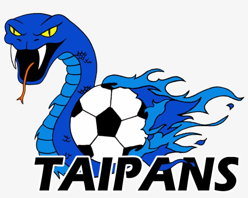 South Coast Taipans Vs Mascot Vipers - Taipan Transparent PNG - 932x700 ...