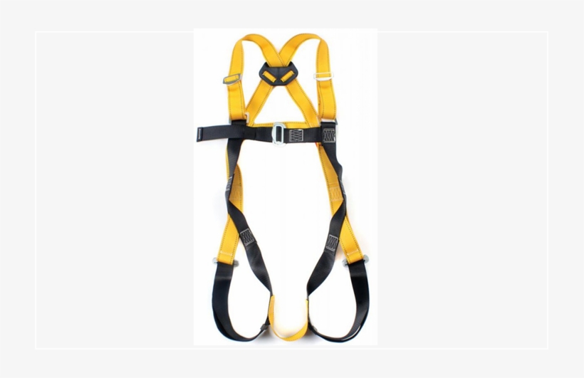 Ppe/pfpe Inspections - Forklift Harness Transparent PNG - 721x451 ...