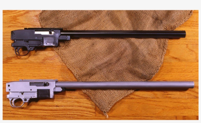 Custom Ruger 10 22 Vector