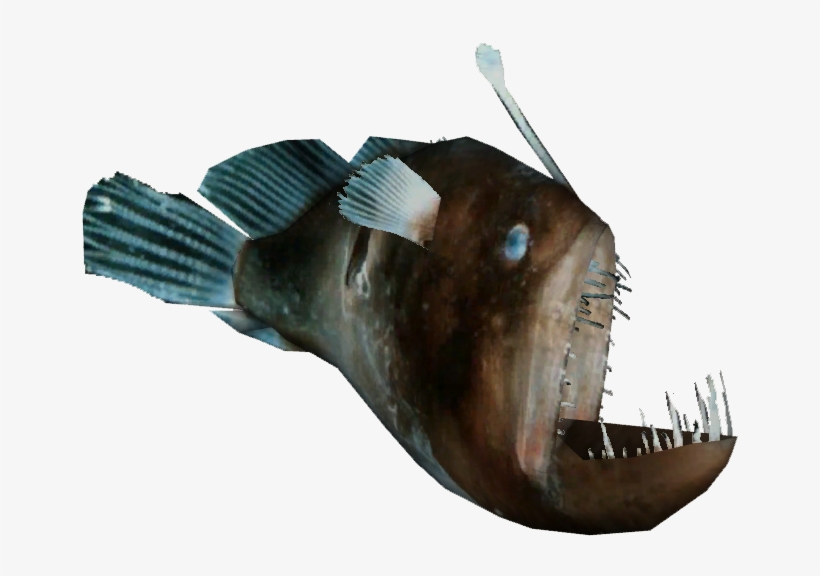 Download Humpback Anglerfish - Anglerfish - HD Transparent PNG ...