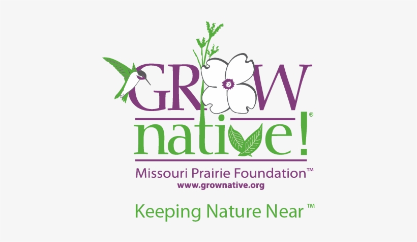 Grow Native Logo - Grow Native Missouri Transparent PNG - 448x430 ...