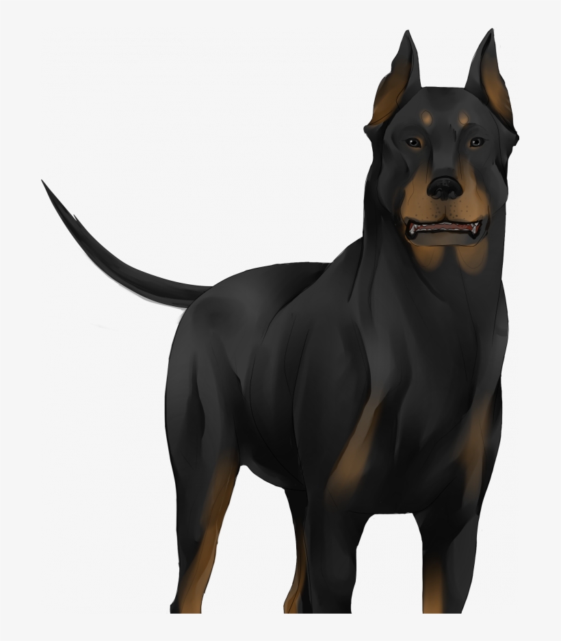 Demonio - Perro De Castiel Cdm Transparent PNG - 699x856 - Free ...