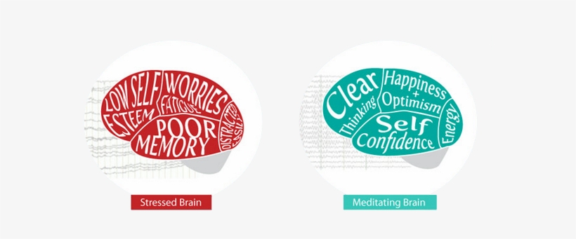 Stressed Meditating Brain - Meditating Brain Transparent PNG - 603x274 ...