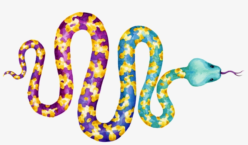 Curved Snake Transparent - Portable Network Graphics Transparent PNG ...