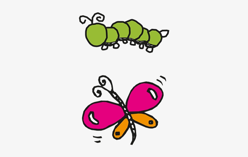 Caterpillars And Butterflies - Caterpillar To Butterfly Clipart ...