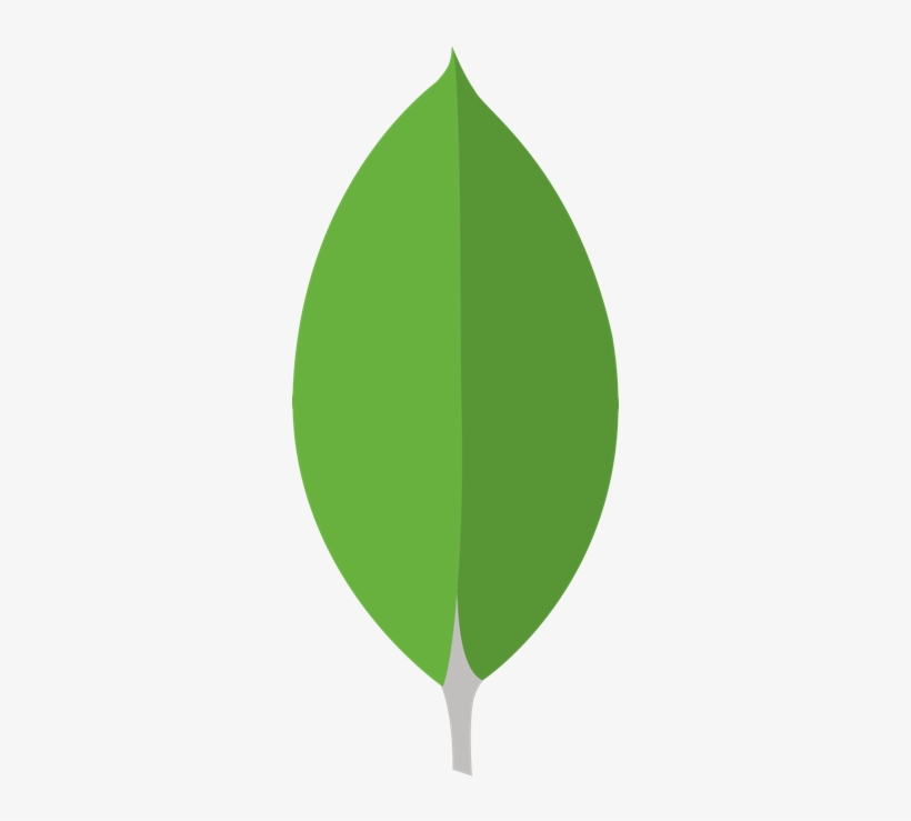 Our Products - Database Mongodb Leaf Transparent PNG - 800x800 - Free ...