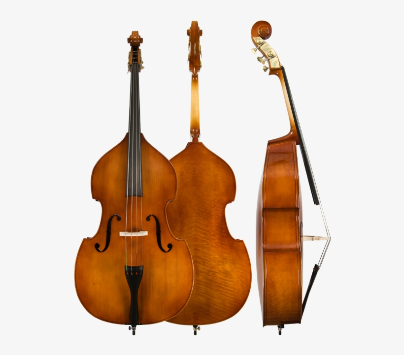 Amati Model95b12 Image - Double Bass Png Transparent PNG - 640x640 ...