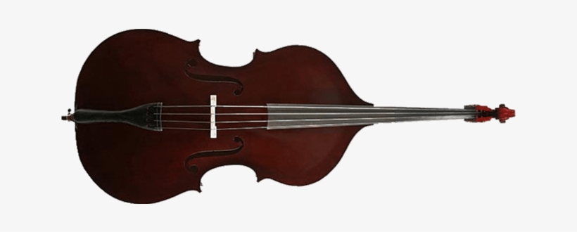 Double Bass Transparent PNG - 650x271 - Free Download on NicePNG