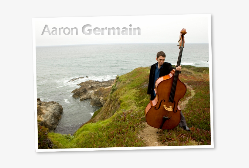 Upright Bassist, Electric Bassist, Composer - Double Bass Transparent ...