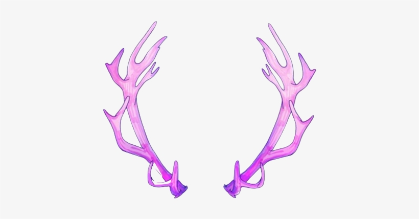 Transparent Reindeer Tumblr