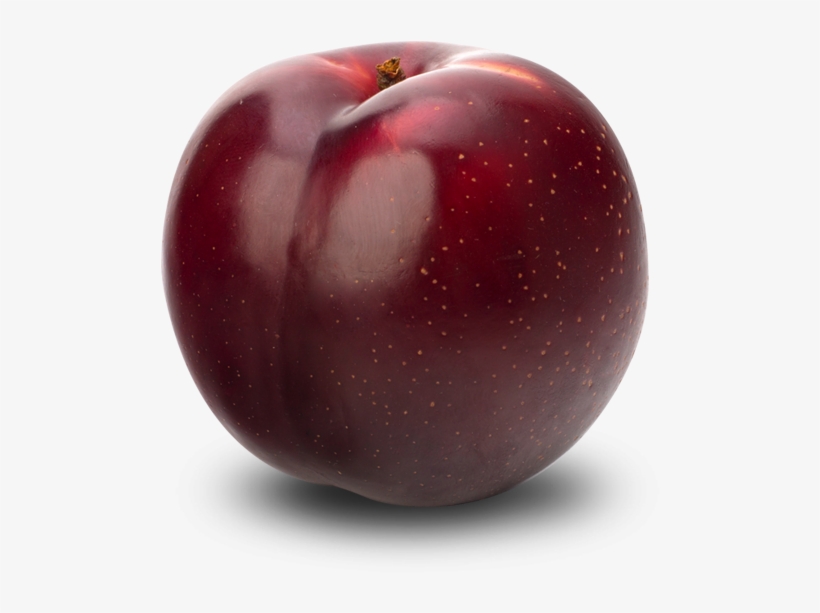 Red Plum Transparent PNG - 744x744 - Free Download on NicePNG