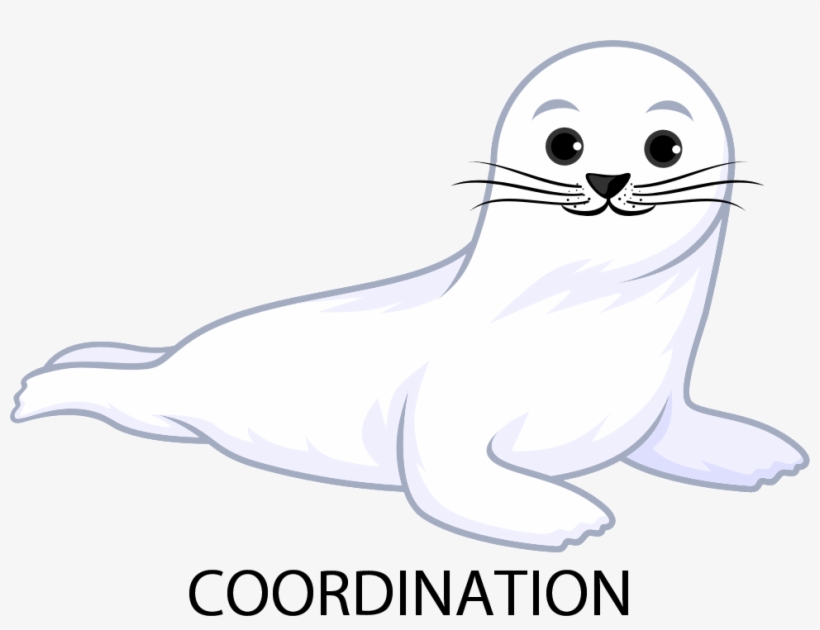 Arctic Seal Clipart