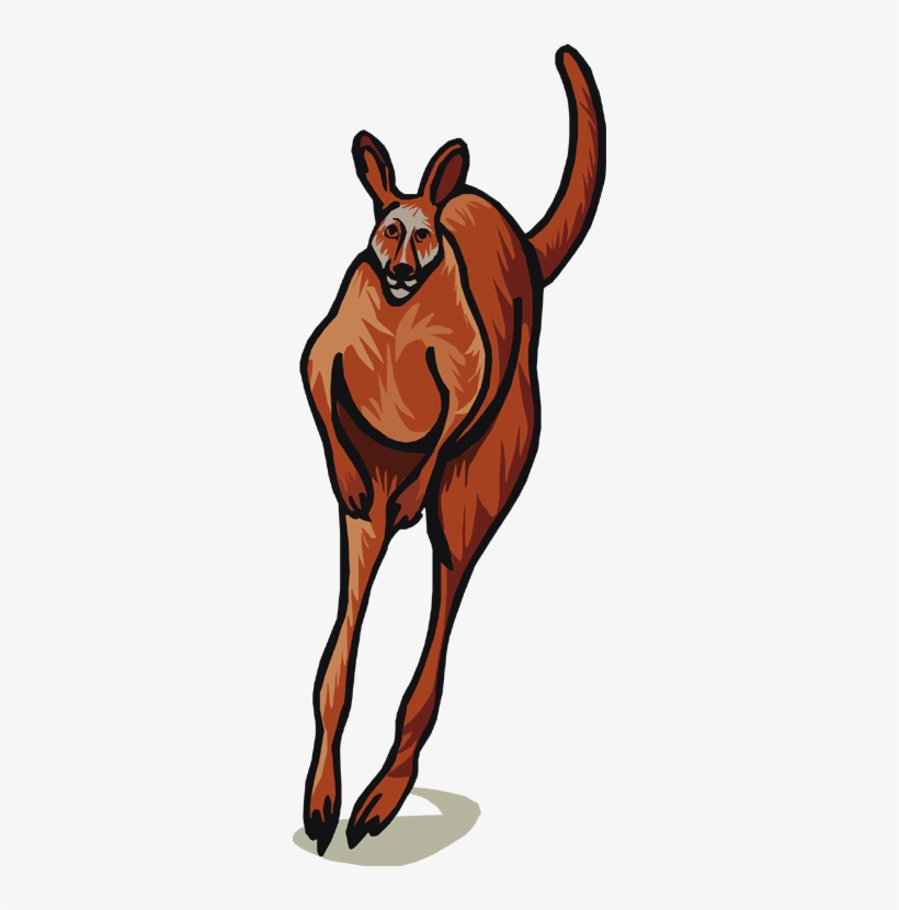 Kangaroo Hopping - Clip Art Transparent PNG - 286x750 - Free Download ...