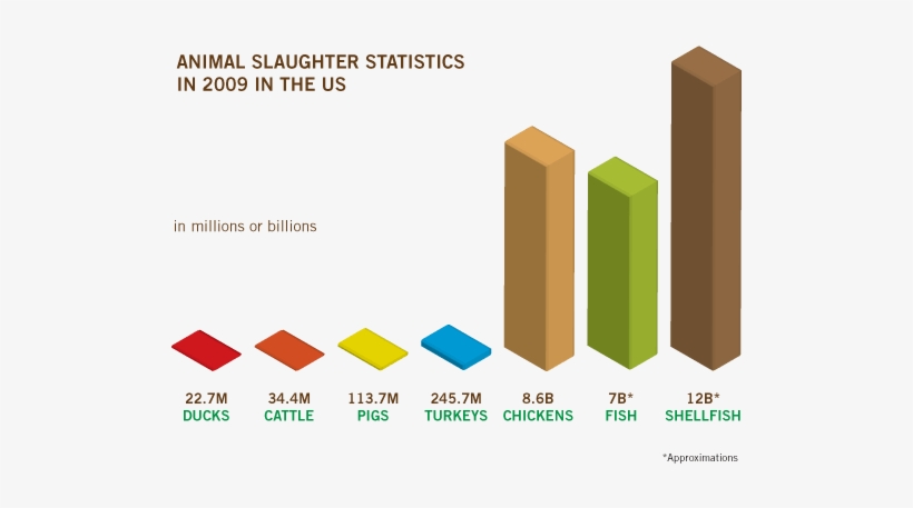 This Chart Includes Only Animals - Animal Slaughter Statistics ...