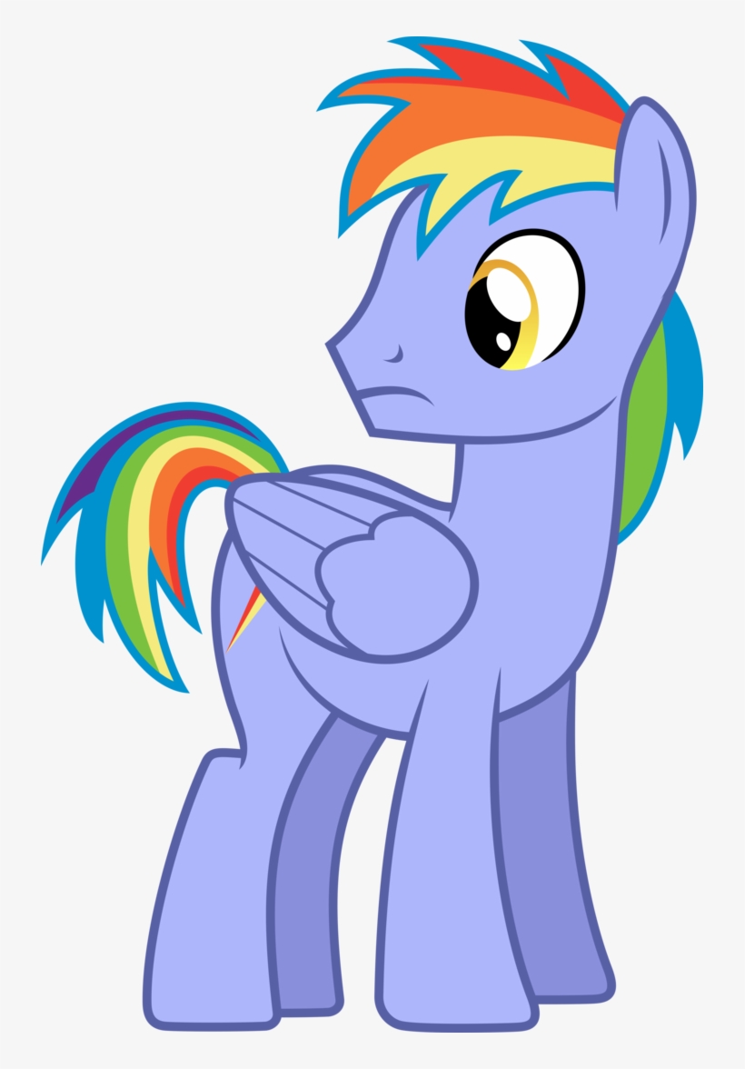 Rainbow Flare - Mlp Rainbow Dash Father Transparent PNG - 729x1096 ...